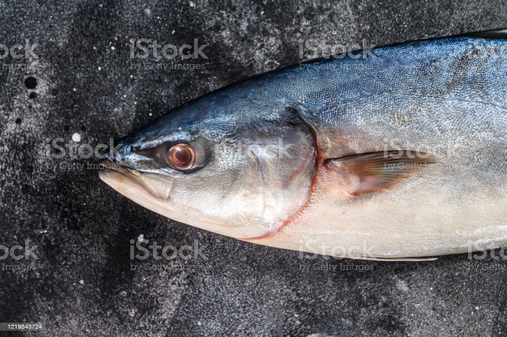 🔥 [32+] Amberjack Background | WallpaperSafari