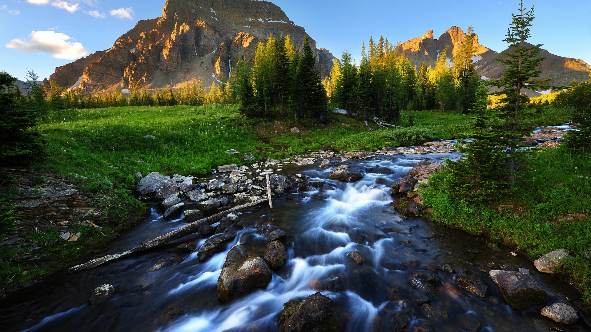  Free Download Beautiful 1080p Wallpaper X WallpaperLayercom