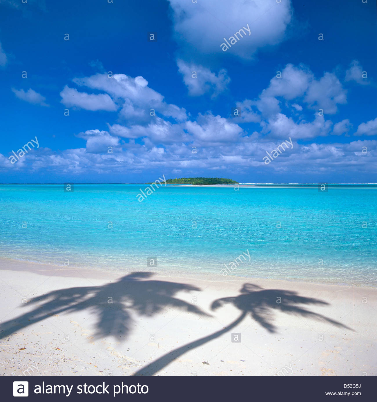 Free download All New MOTU 30th Anniversary Art Debuts [800x634] for ...