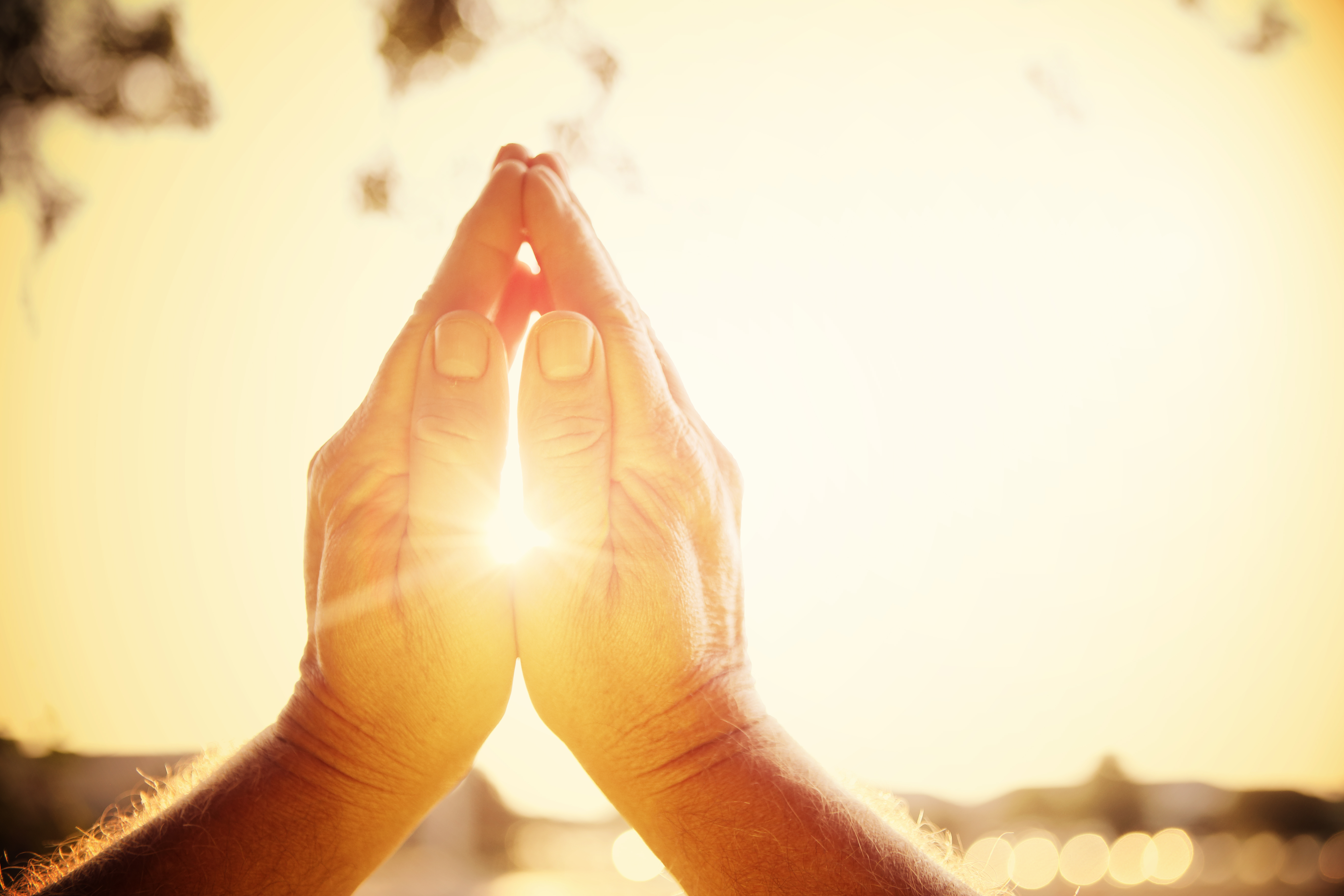 140 Praying Hands Wallpapers WallpaperSafari 140 Praying Hands Wallpapers WallpaperSafari