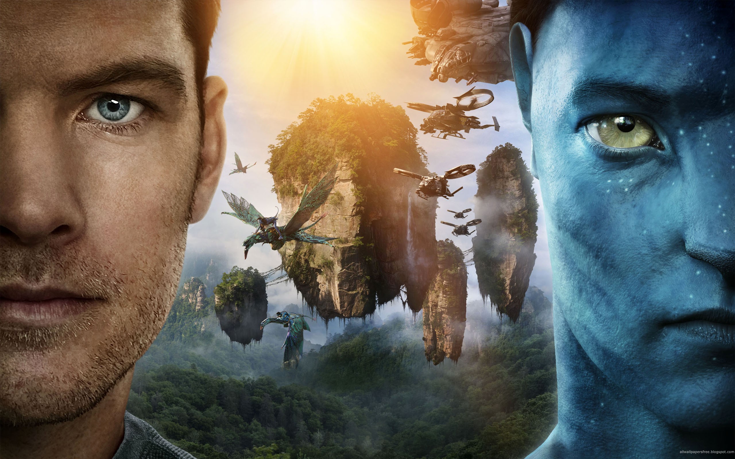 🔥 Free Download Avatar Wallpaper by @brianrussell | WallpaperSafari