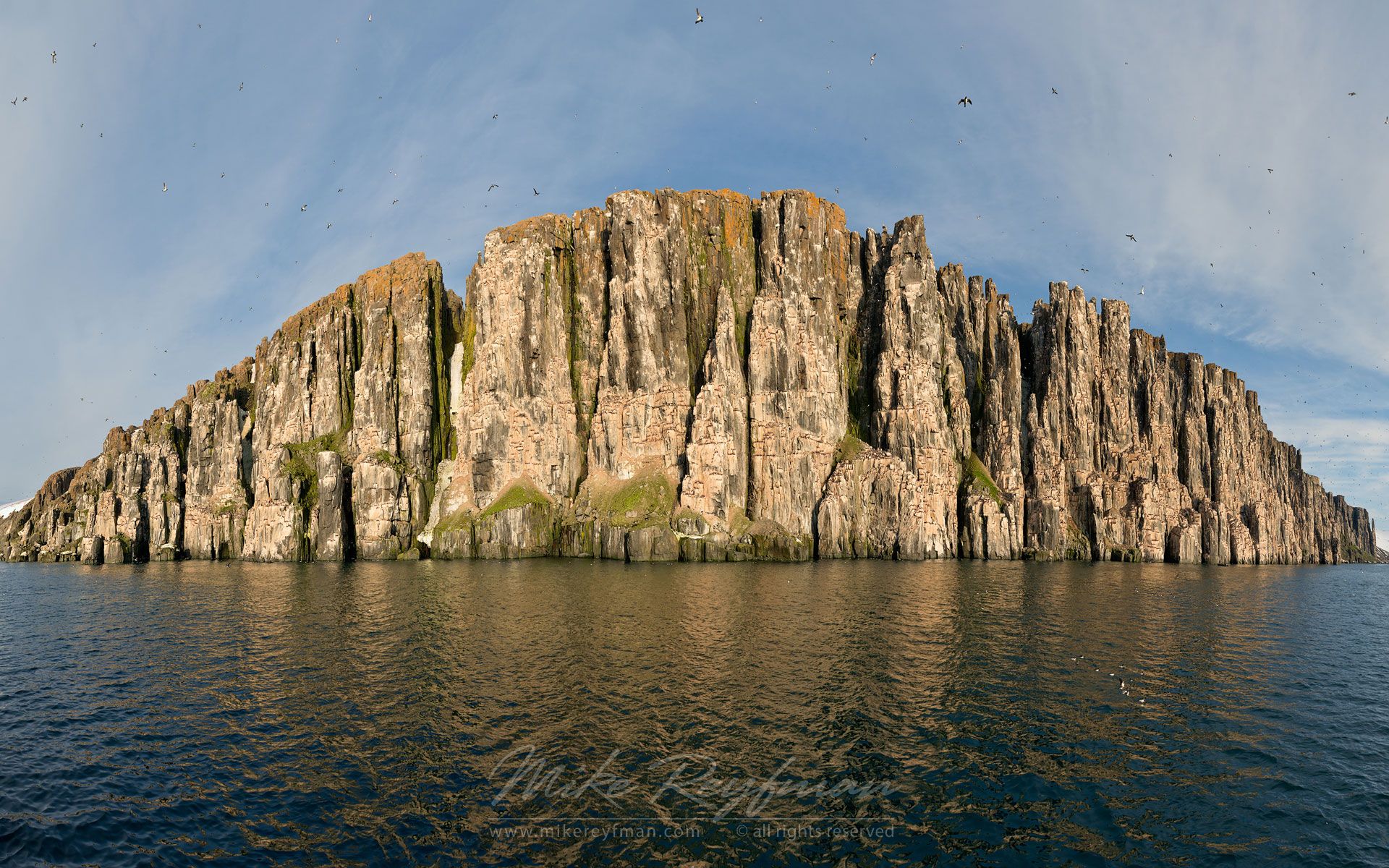 🔥 Free Download Bird Cliff Alkefjellet Svalbard Spitsbergen Archipelago ...