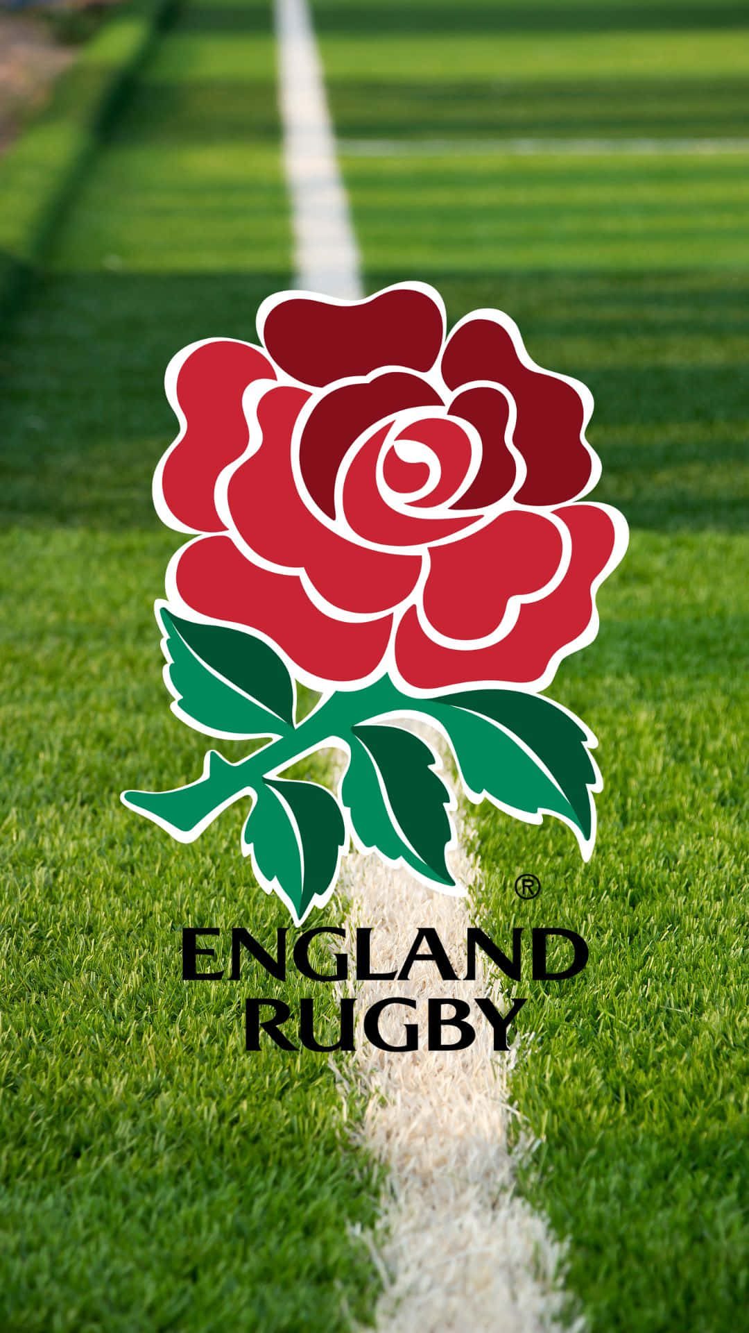 🔥 [60+] England Rugby Wallpapers | WallpaperSafari