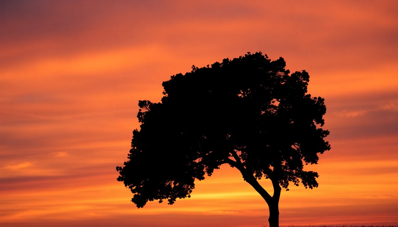 🔥 Free Download Negative Space Wallpaper by @cmullins | WallpaperSafari