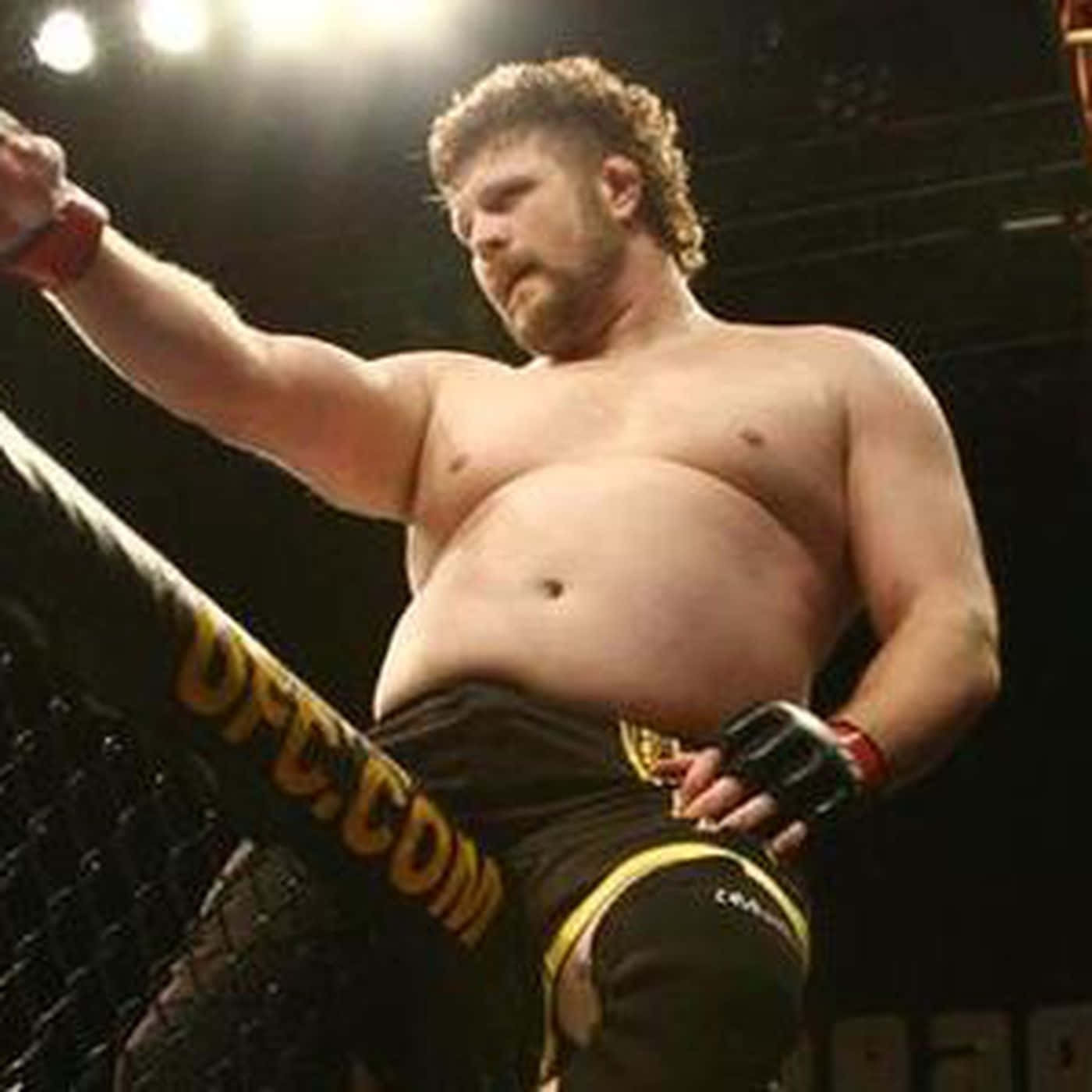 🔥 Free Download Roy Nelson Triumphantly Celebrating His Mma Victory ...