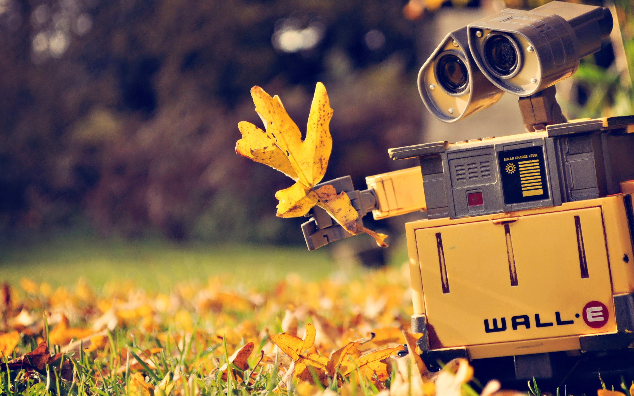 Free Download Wall E Wallpapers High Quality Download 2560x1600 For Free Download Wall E Wallpapers High Quality Download 2560x1600 For