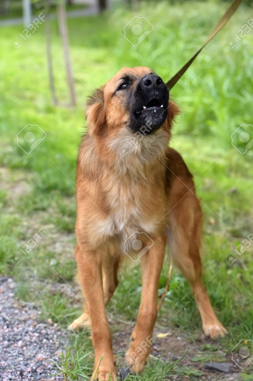 🔥 [26+] Metis Background | WallpaperSafari