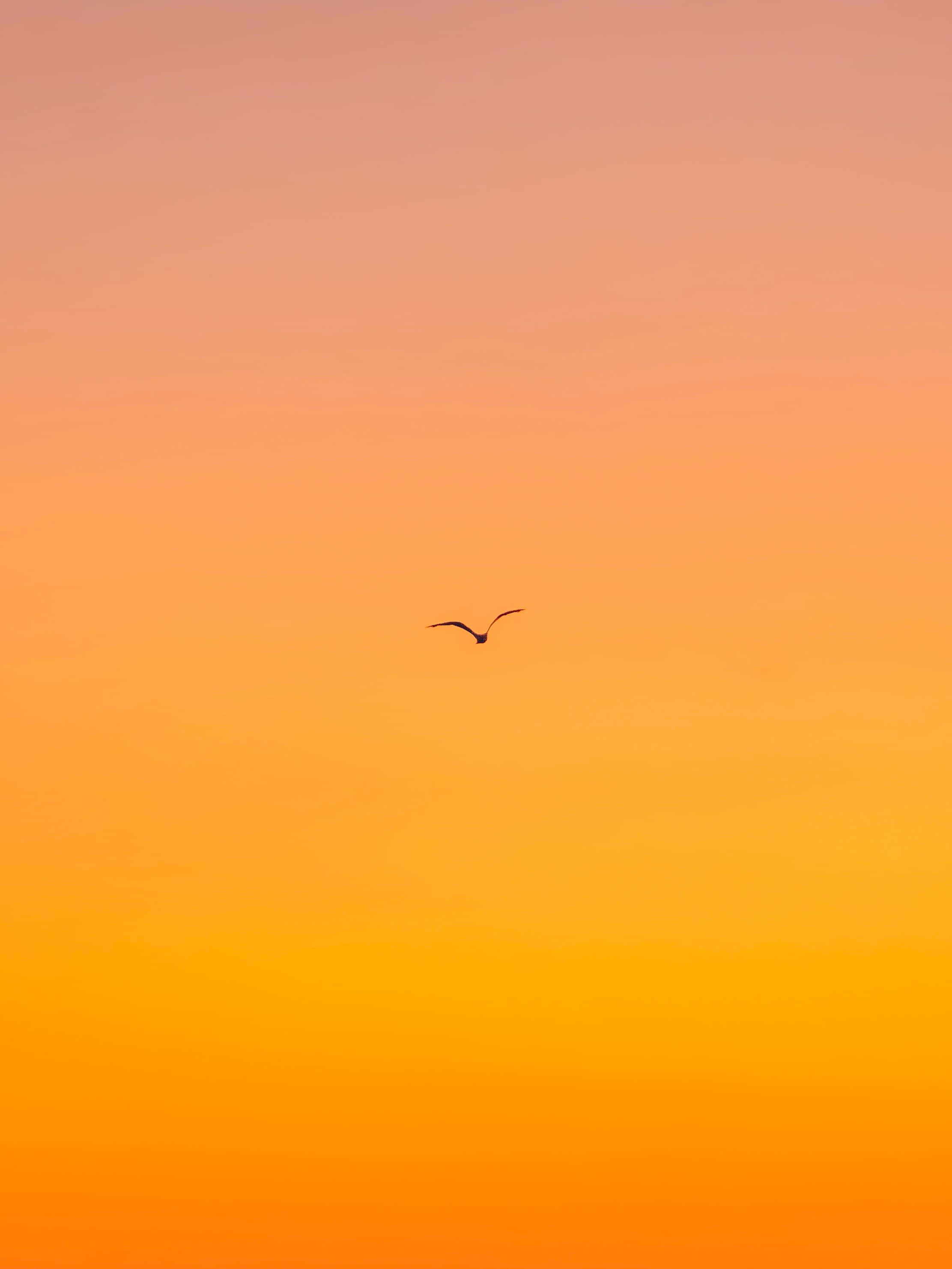 🔥 [30+] Orange Desktop Wallpapers | WallpaperSafari