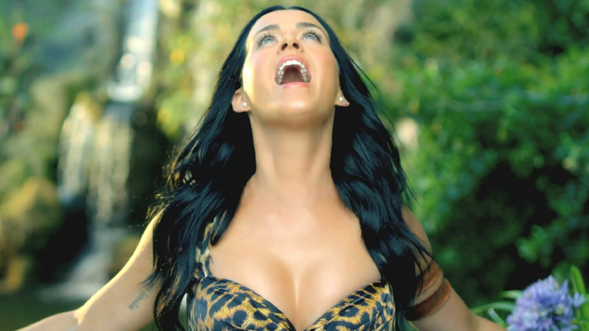 40 Katy Perry Roar Wallpapers WallpaperSafari