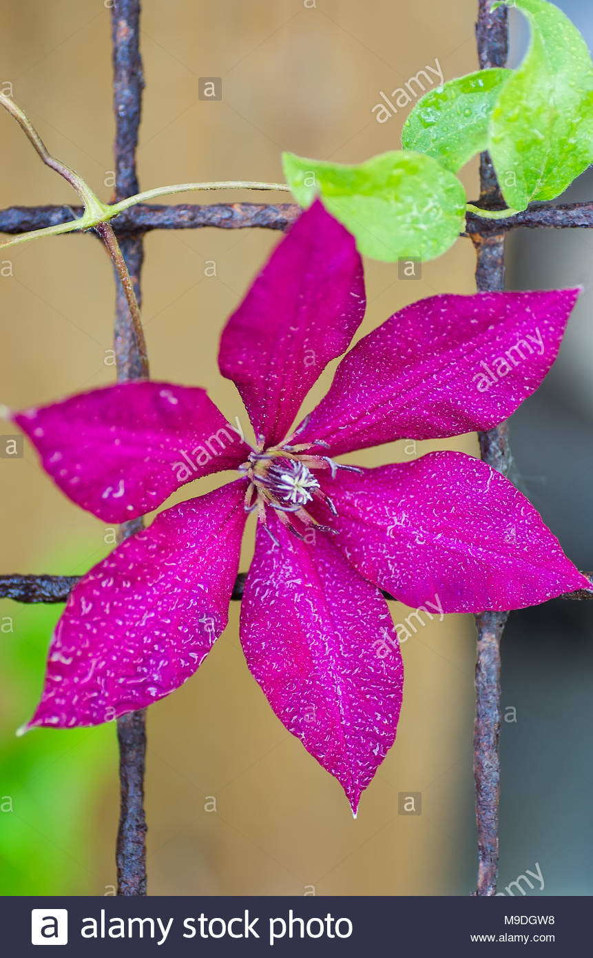 [42+] Snazzy Backgrounds on WallpaperSafari