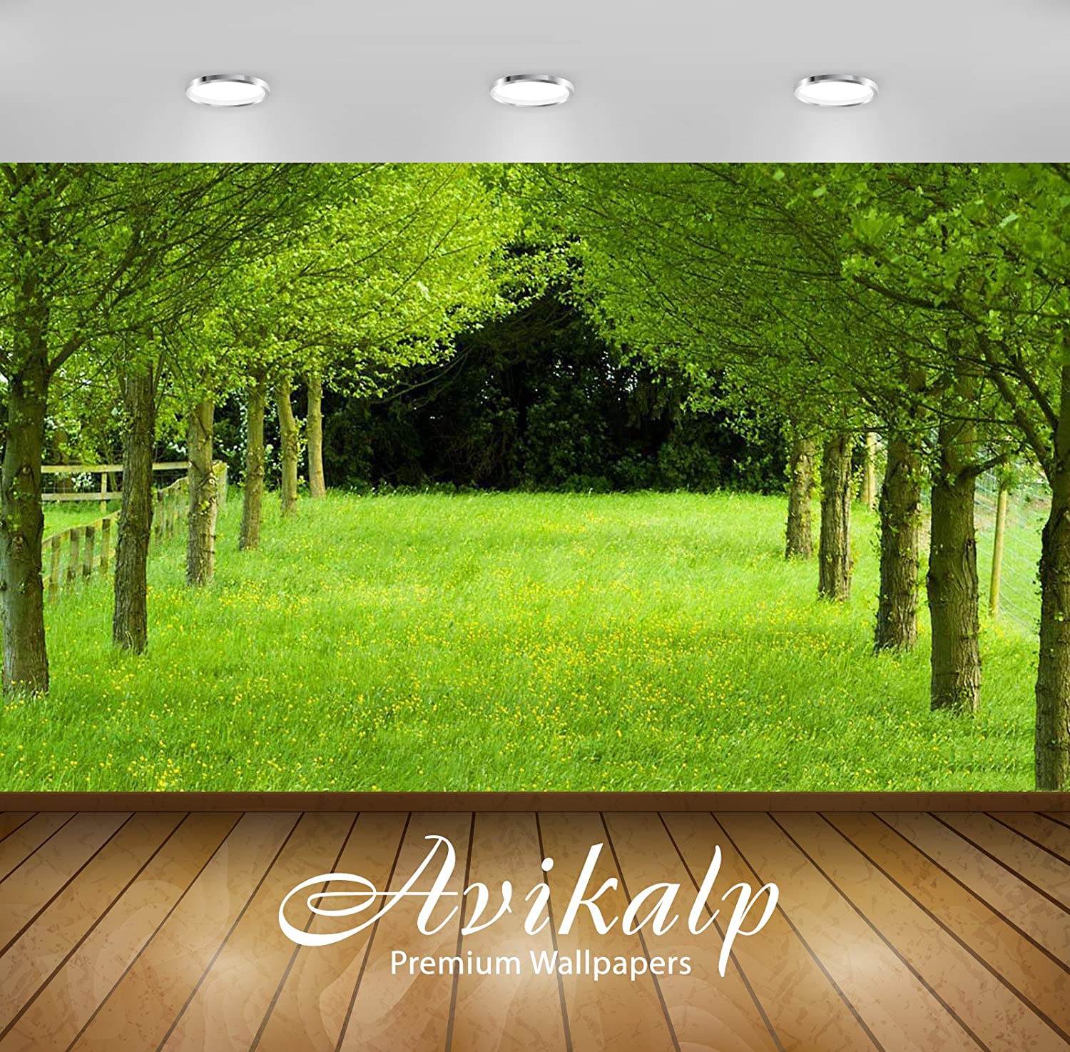 🔥 Free Download Buy Avikalp awi3346 Nature Greenery Beautiful Scenery ...