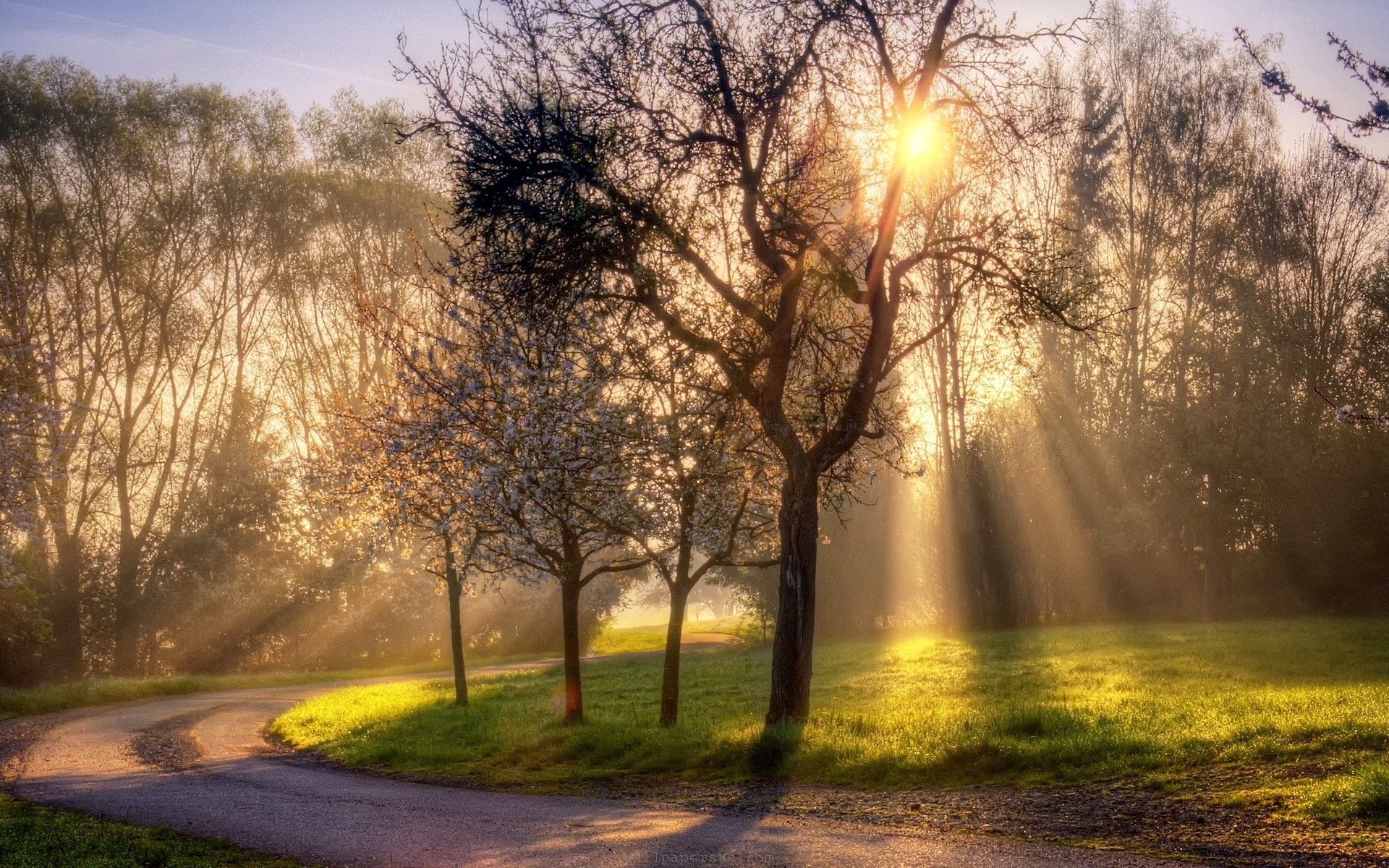 Free Download 9 Your Favorite Gardening Weather Crisp Spring Morning