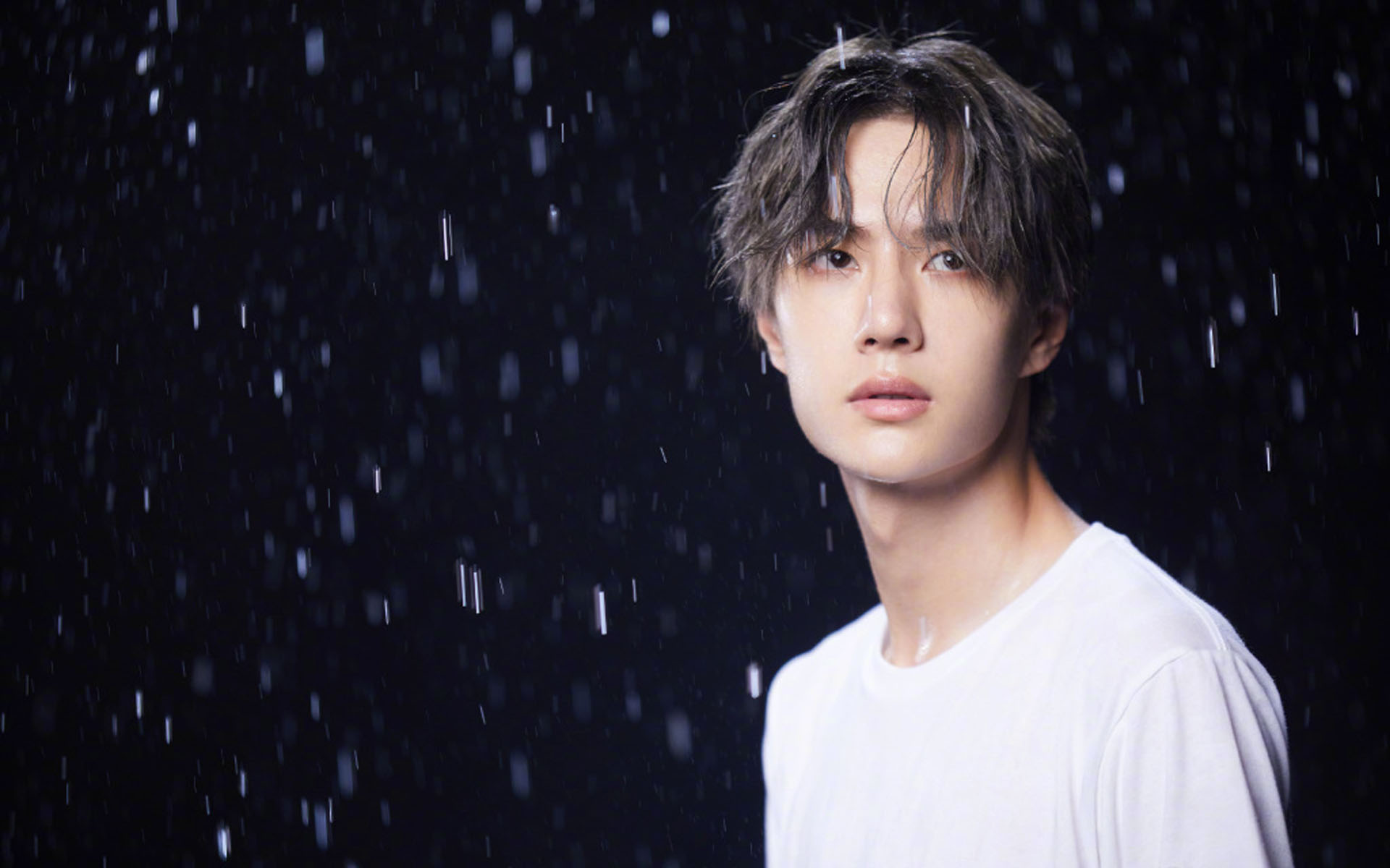 🔥 Free Download Wang Yibo Hd Wallpaper by @pjones80 | WallpaperSafari