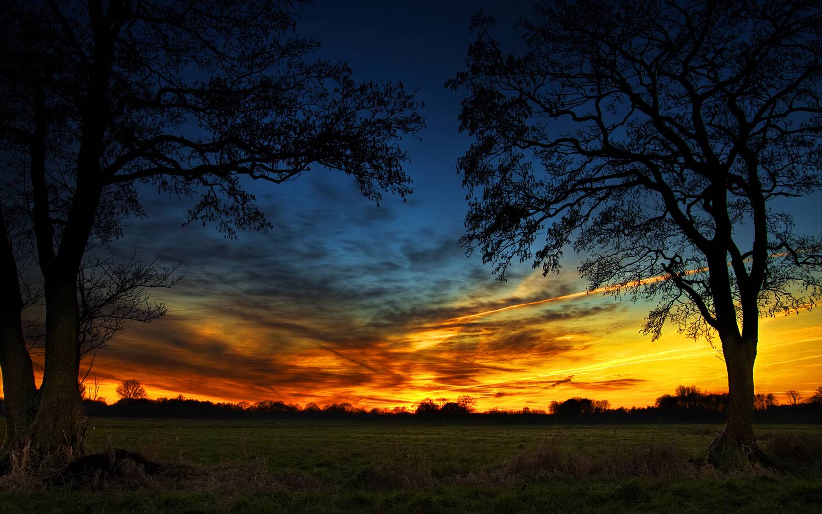 Free Download Nature HD Wallpaper 2505 Wallpaper Wallpaper Hd 