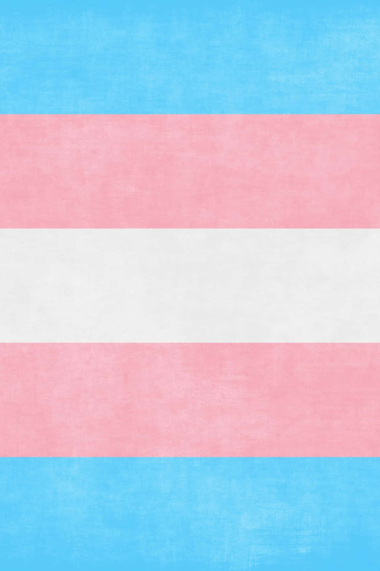 🔥 [50+] Trans Flag Wallpapers | WallpaperSafari