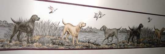 Labrador Retriever Wallpaper Border