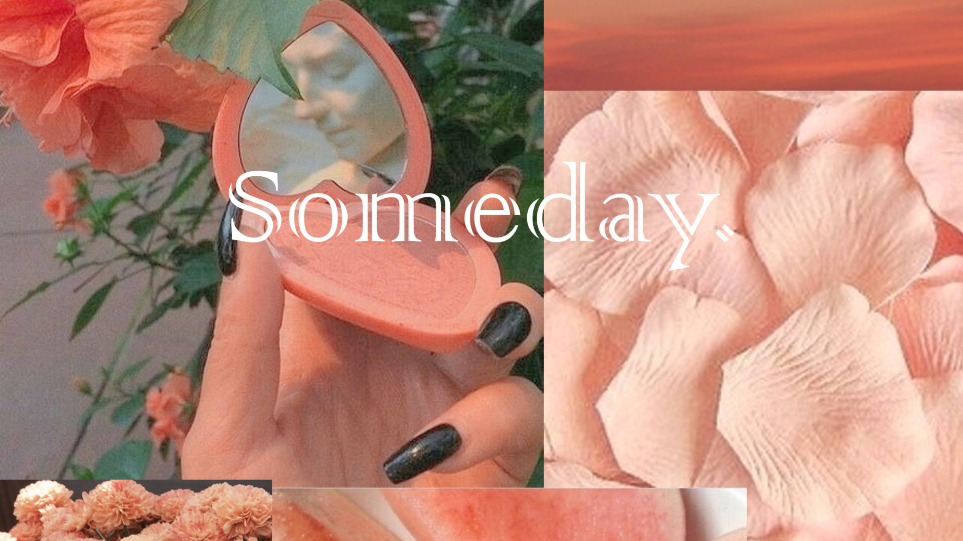 🔥 [70+] Peach Color Aesthetic Wallpapers | WallpaperSafari