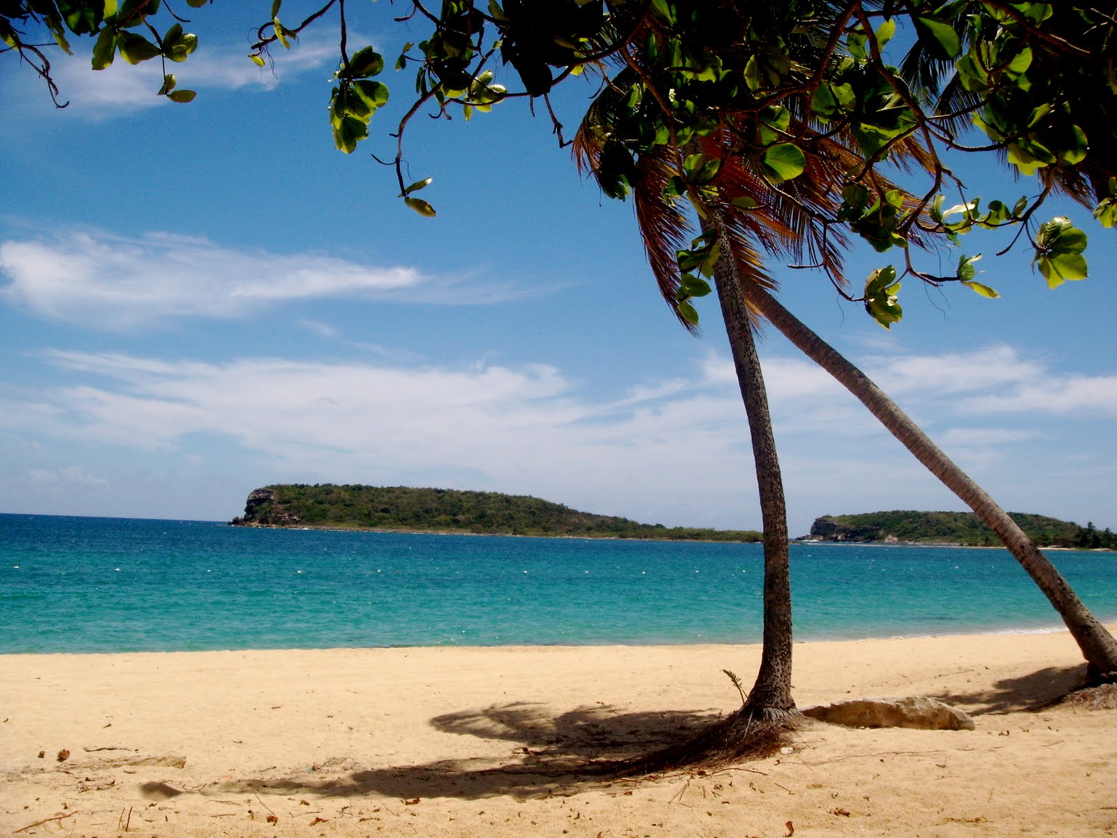 🔥 [120+] Puerto Rico Beaches Wallpapers | WallpaperSafari