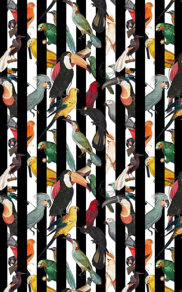 🔥 [40+] Maximalist Wallpapers | WallpaperSafari