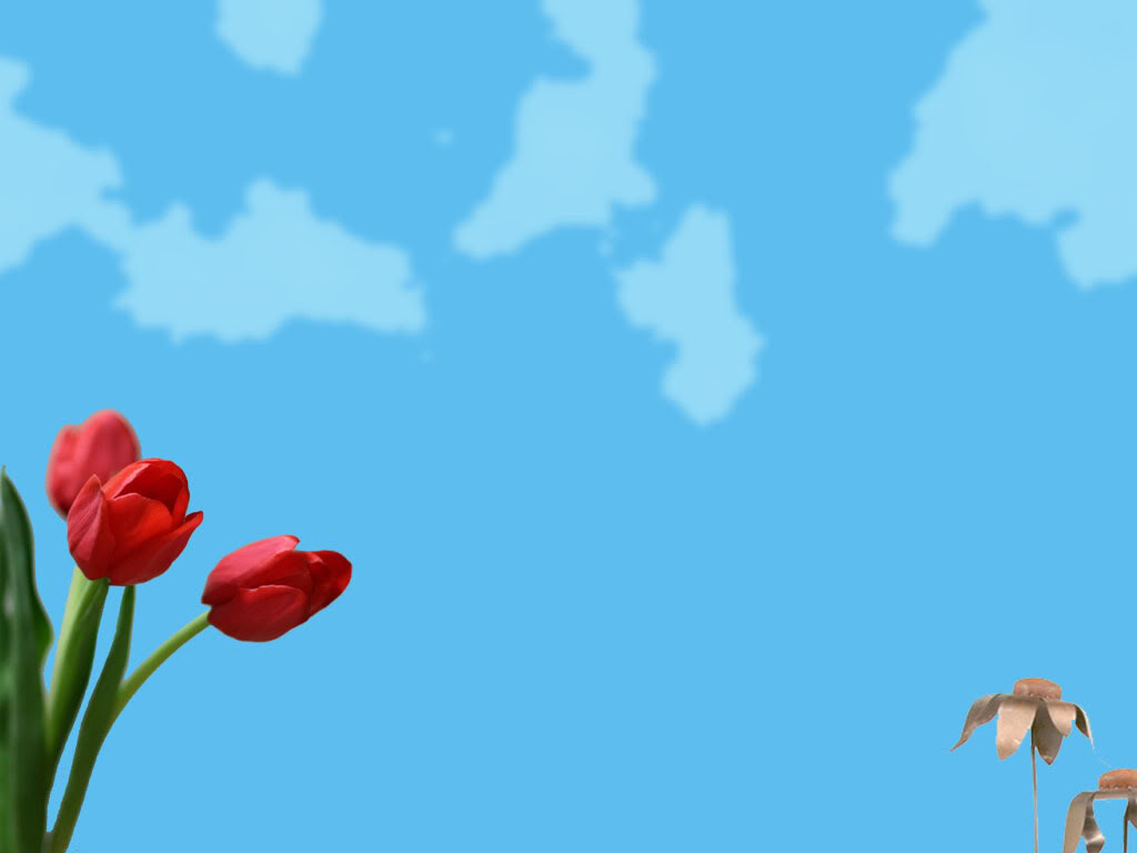 🔥 [50+] Microsoft Tulip Wallpapers | WallpaperSafari