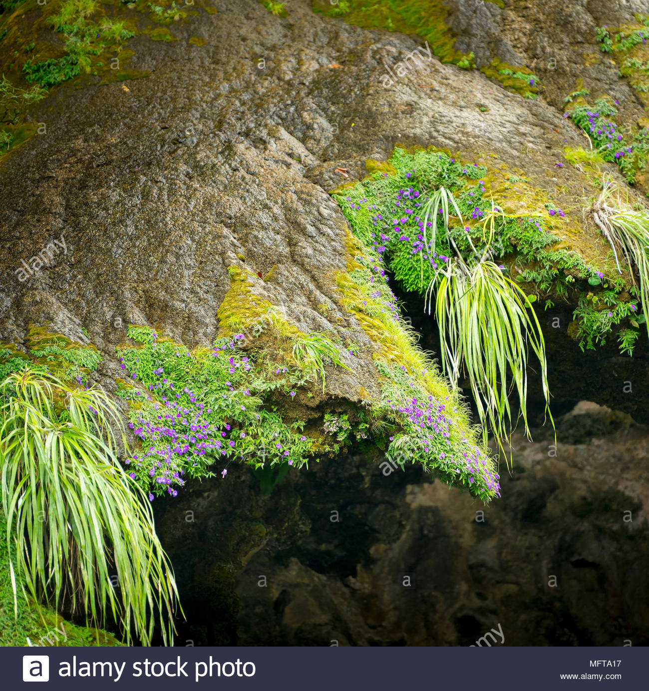 [39+] Chiapas Background | WallpaperSafari
