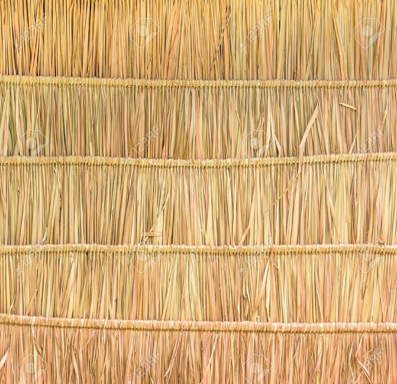 🔥 [52+] Thatch Background | WallpaperSafari