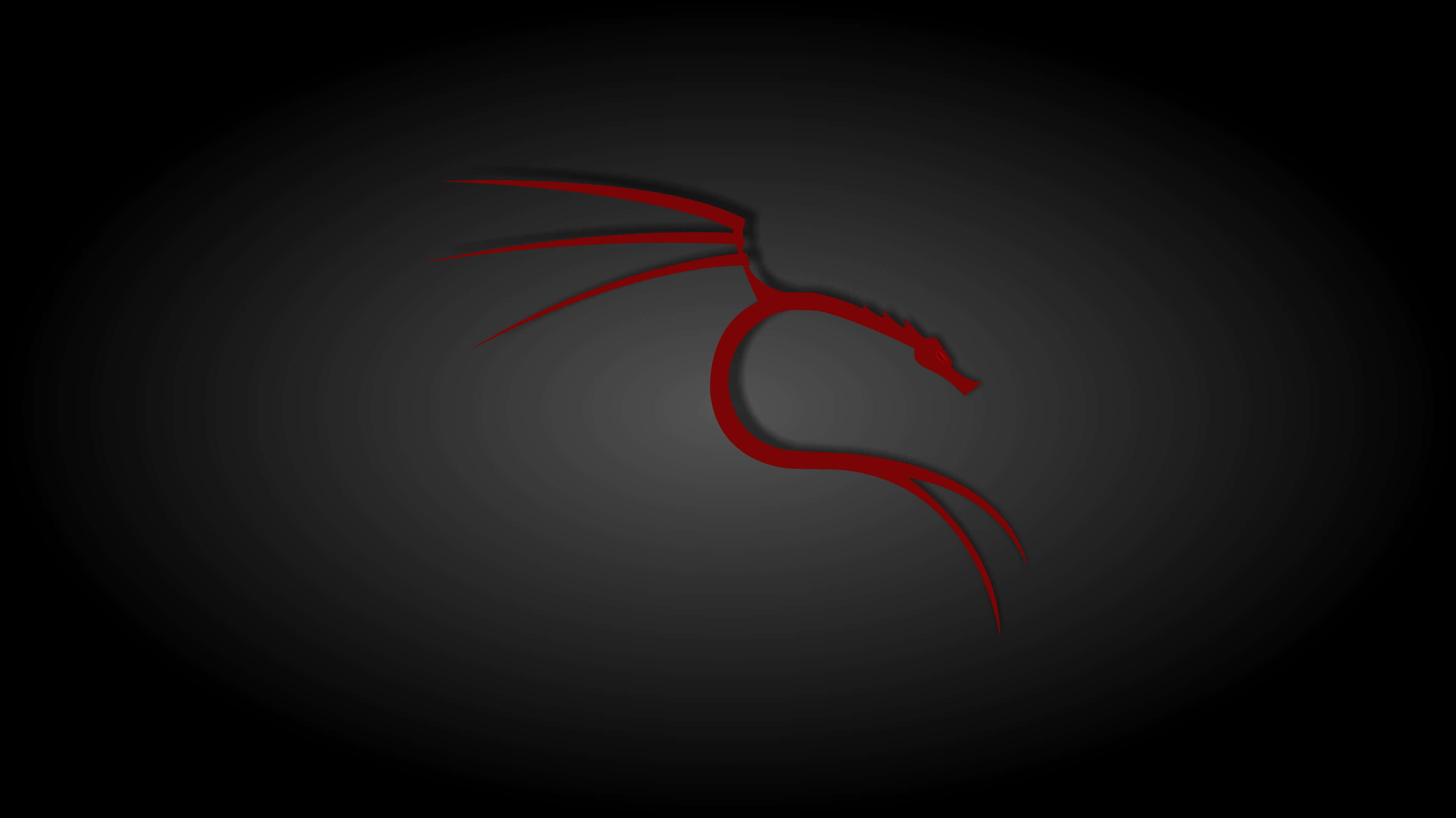 🔥 Free Download Kali Linux Background Wallpaper by @jamesm2 ...