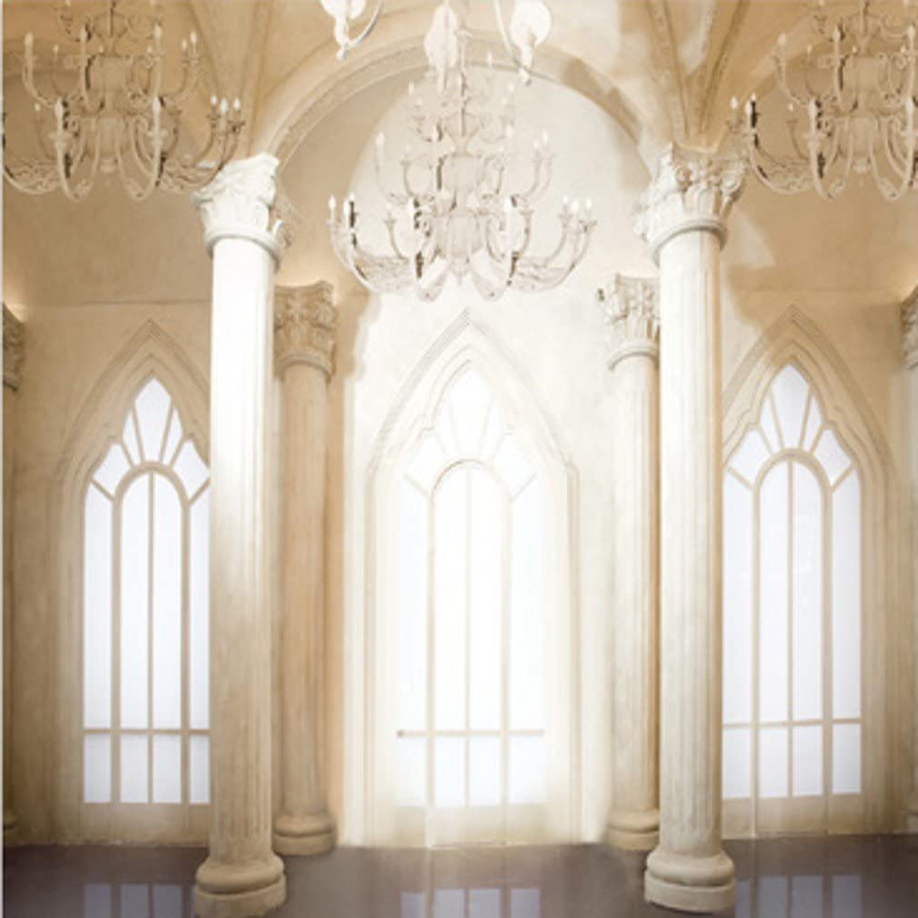 🔥 Free Download Amazon Generic White Photography Wedding Backdrop Light ...