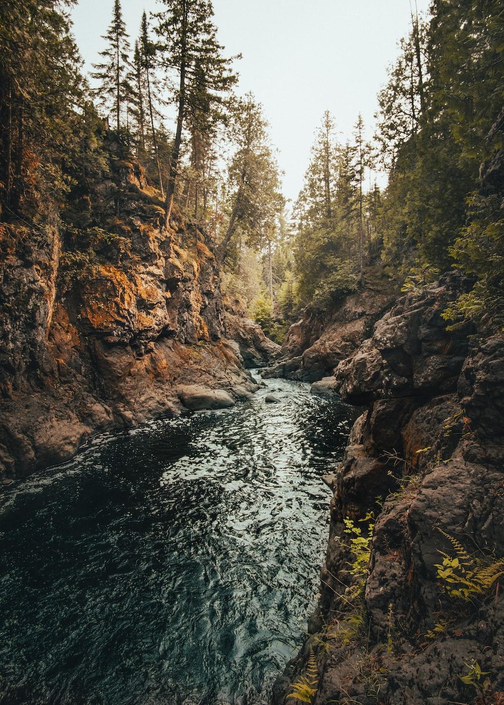 🔥 Free Download Green River Between Trees And Rock Formations Photo ...