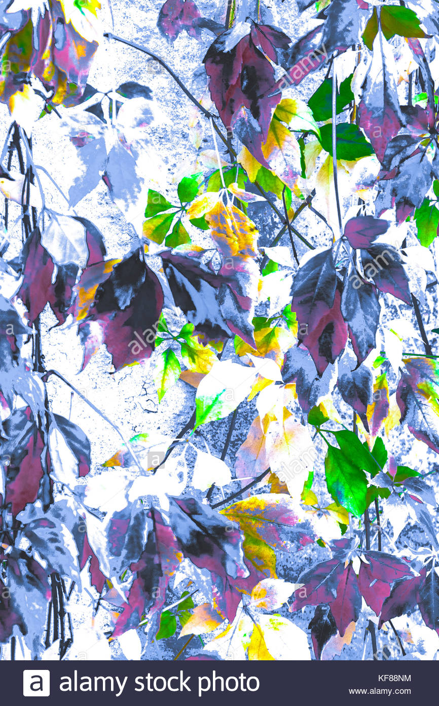 🔥 [23+] Gaudy Backgrounds | WallpaperSafari