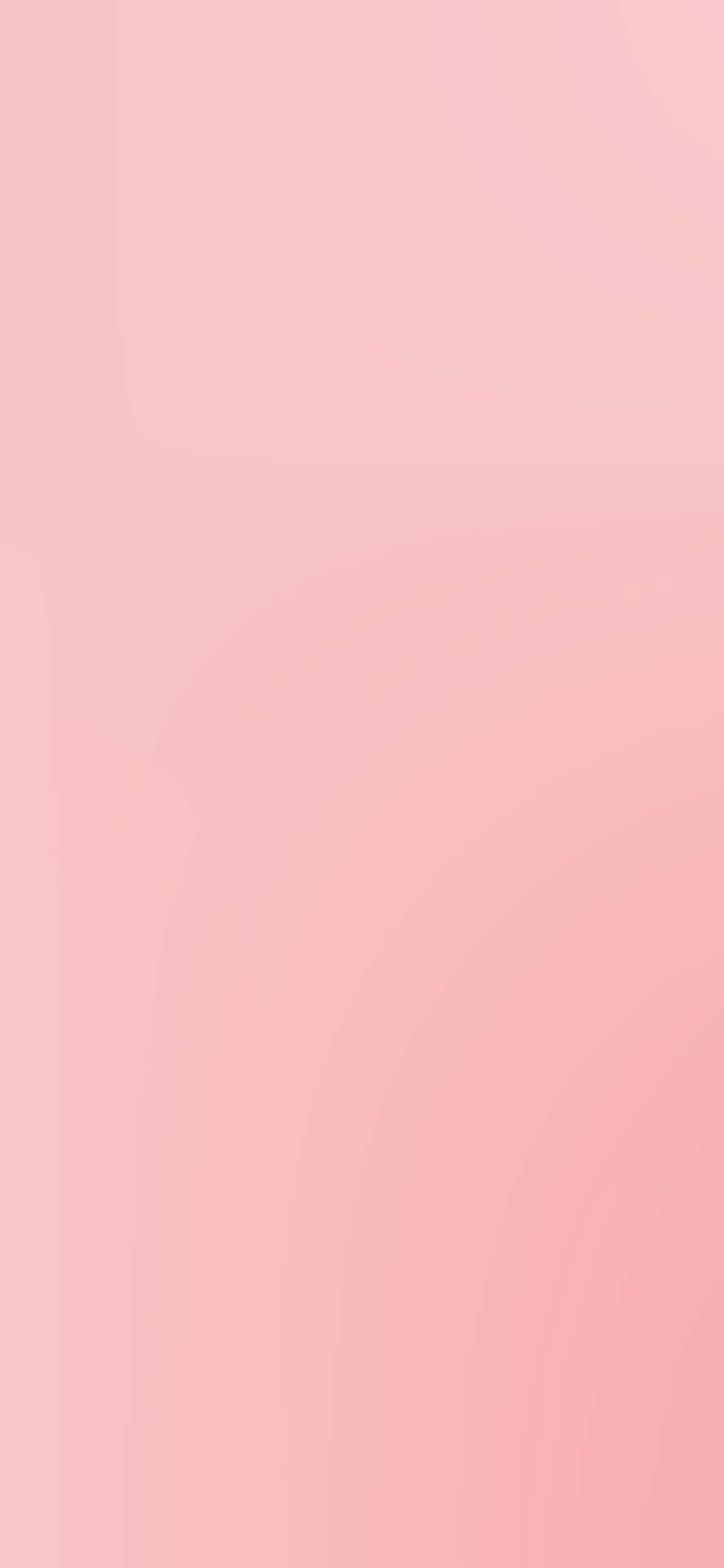 🔥 [50+] Solid Pink Wallpapers | WallpaperSafari