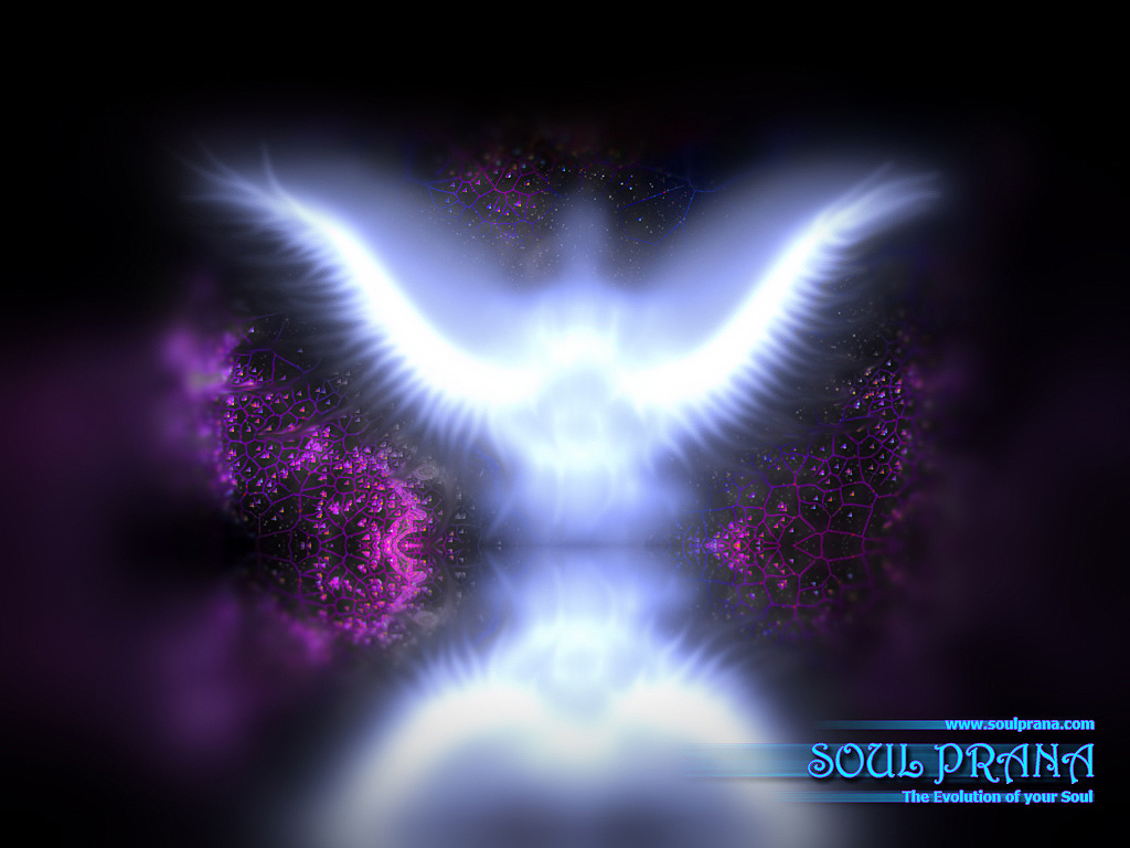 🔥 [150+] Free Angel Wallpapers for Desktop | WallpaperSafari
