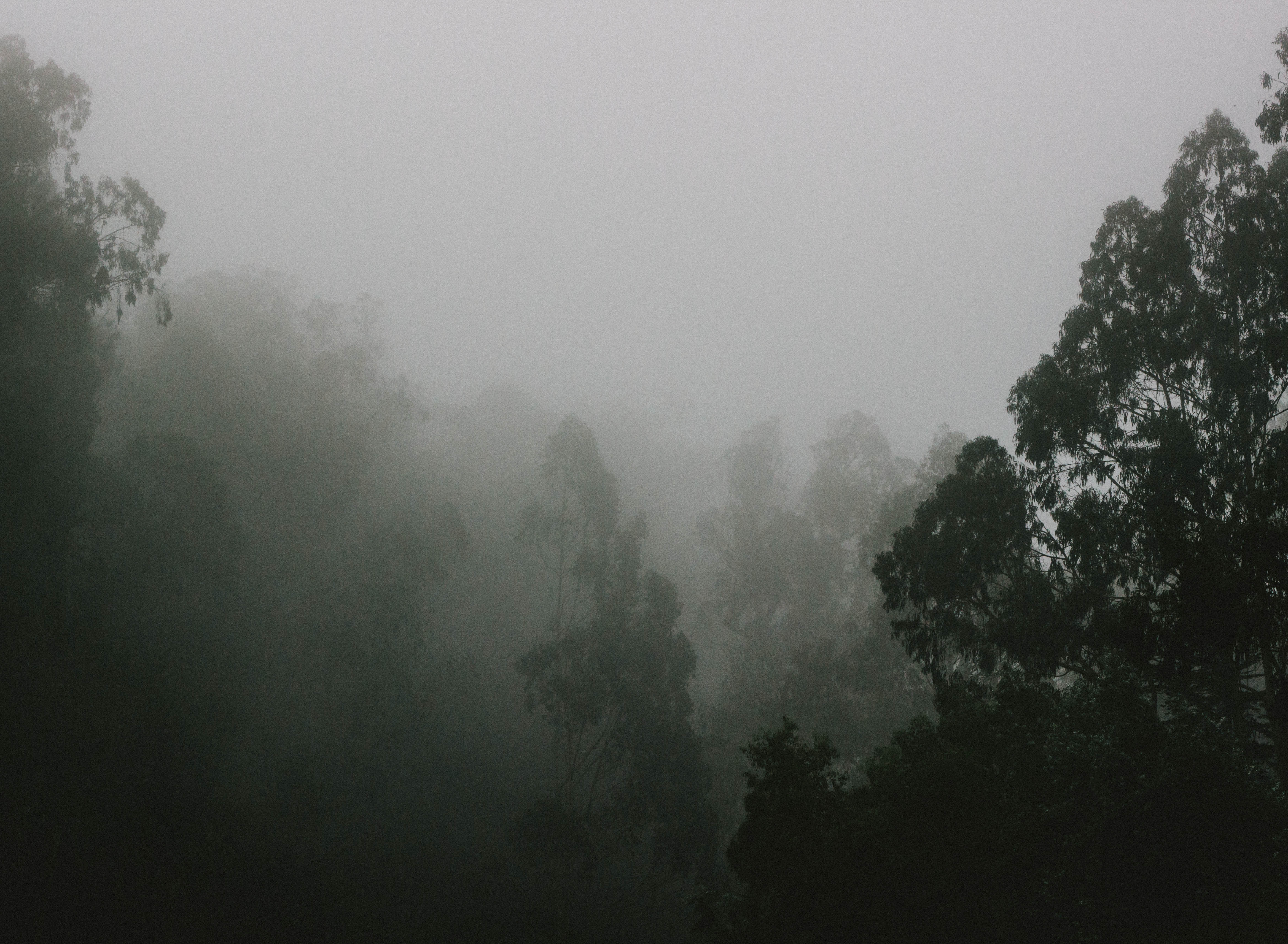 🔥 Free Download Best Eerie Background Wallpaper by @sarahsmith ...