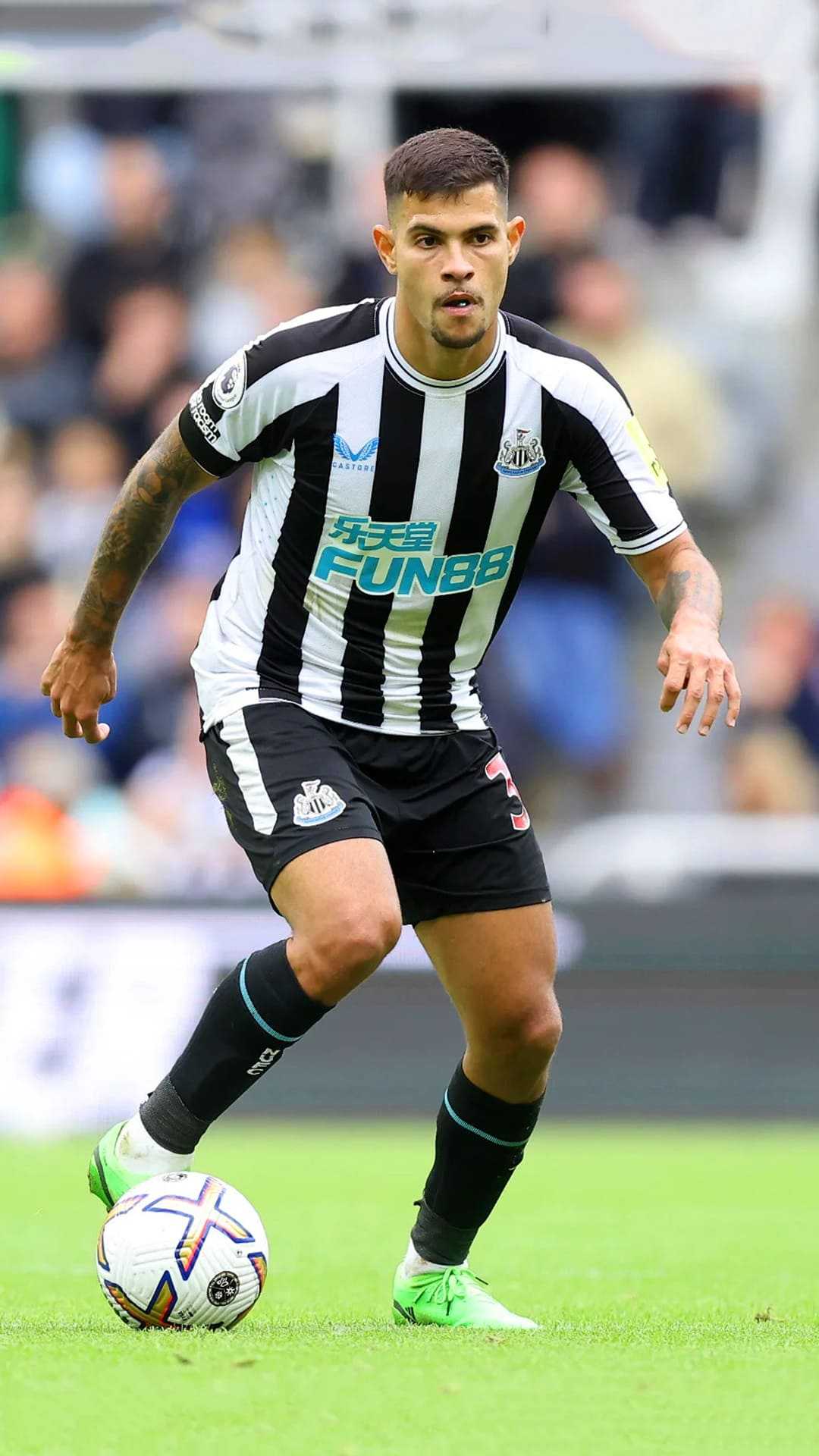 🔥 Free Download Bruno Guimar Es Wallpaper by @hmeza22 | WallpaperSafari