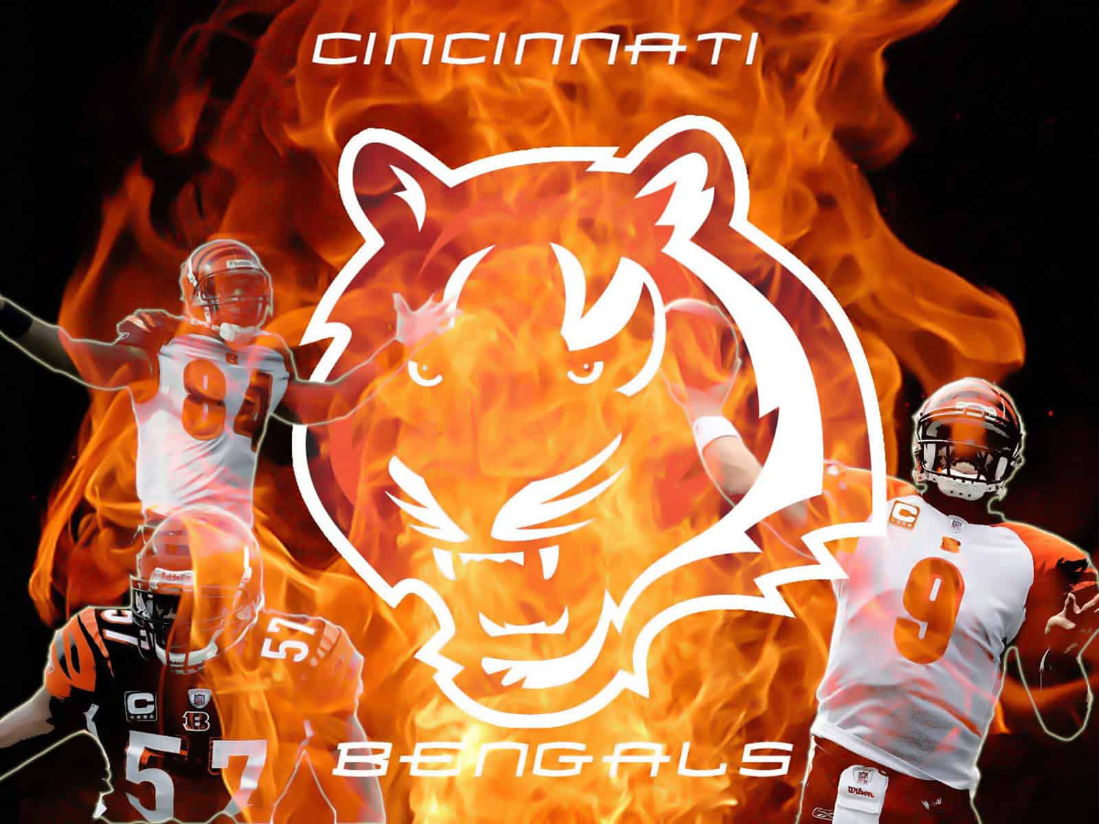 🔥 Free Download Hd Cincinnati Bengals Wallpaper by @patriciae50 ...