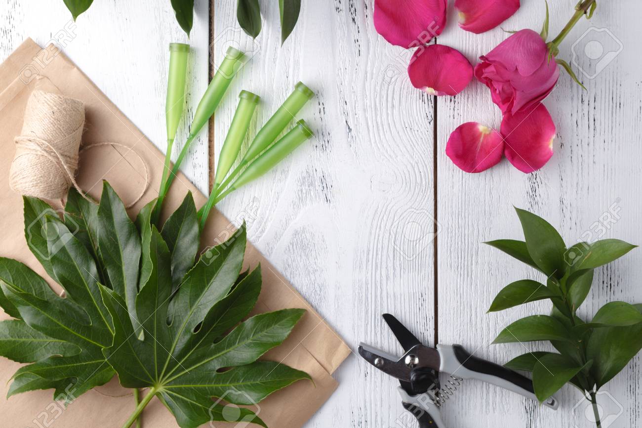 🔥 [36+] Florist Background | WallpaperSafari