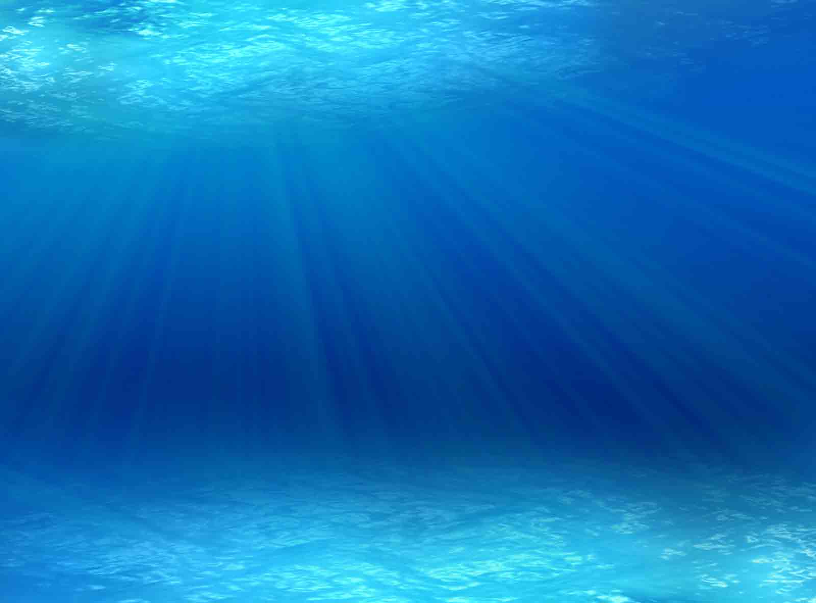 Free Download Ocean 1 1600x1182 For Your Desktop Mobile Tablet Free Download Ocean 1 1600x1182 For Your Desktop Mobile Tablet