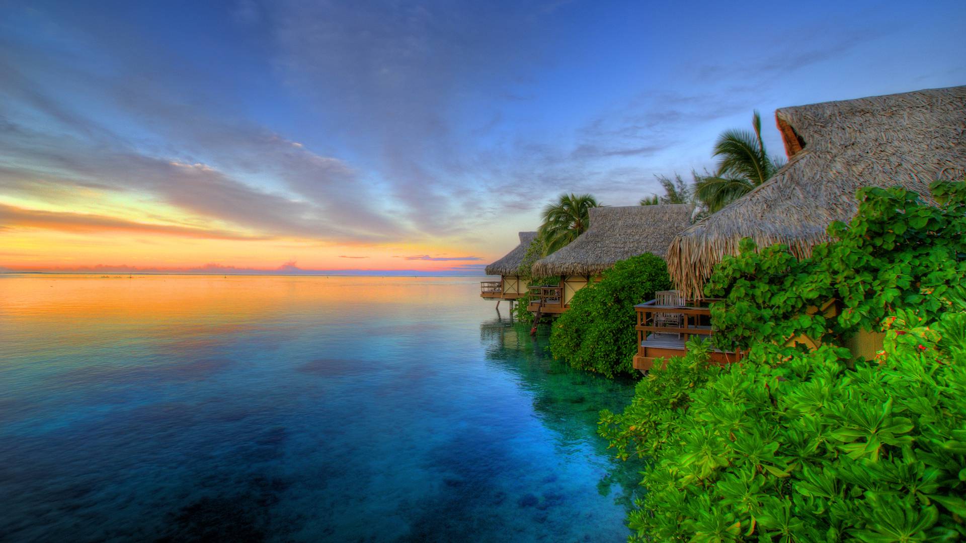 49 Super High Quality Wallpapers WallpaperSafari 49 Super High Quality Wallpapers WallpaperSafari