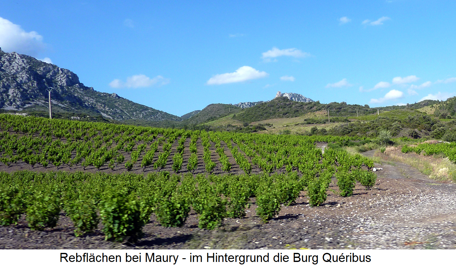 🔥 Free Download Wines From Maury Aoc Wein Plus Wine Guide by @dbowman37 ...