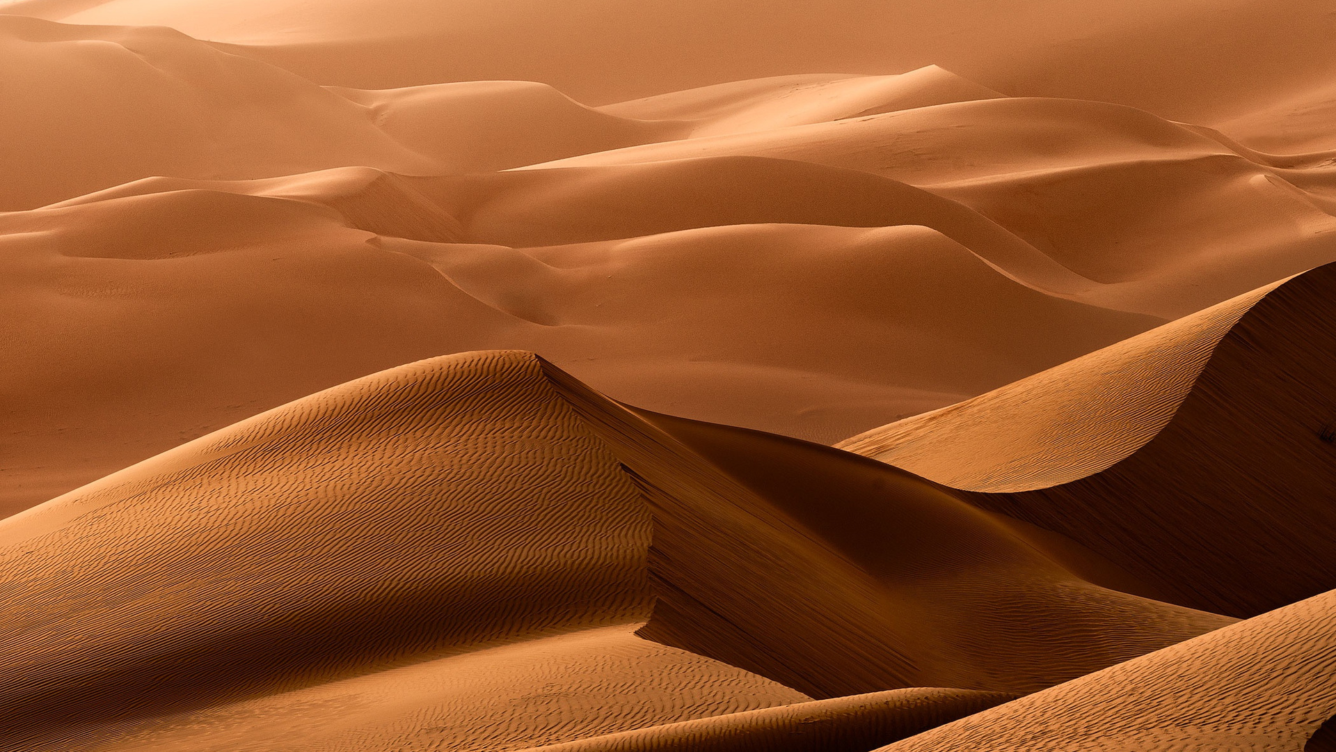 🔥 [60+] Dune Wallpapers | WallpaperSafari
