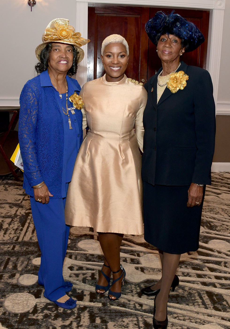 🔥 Free Download Local National Council Of Negro Women S Mission Shines ...