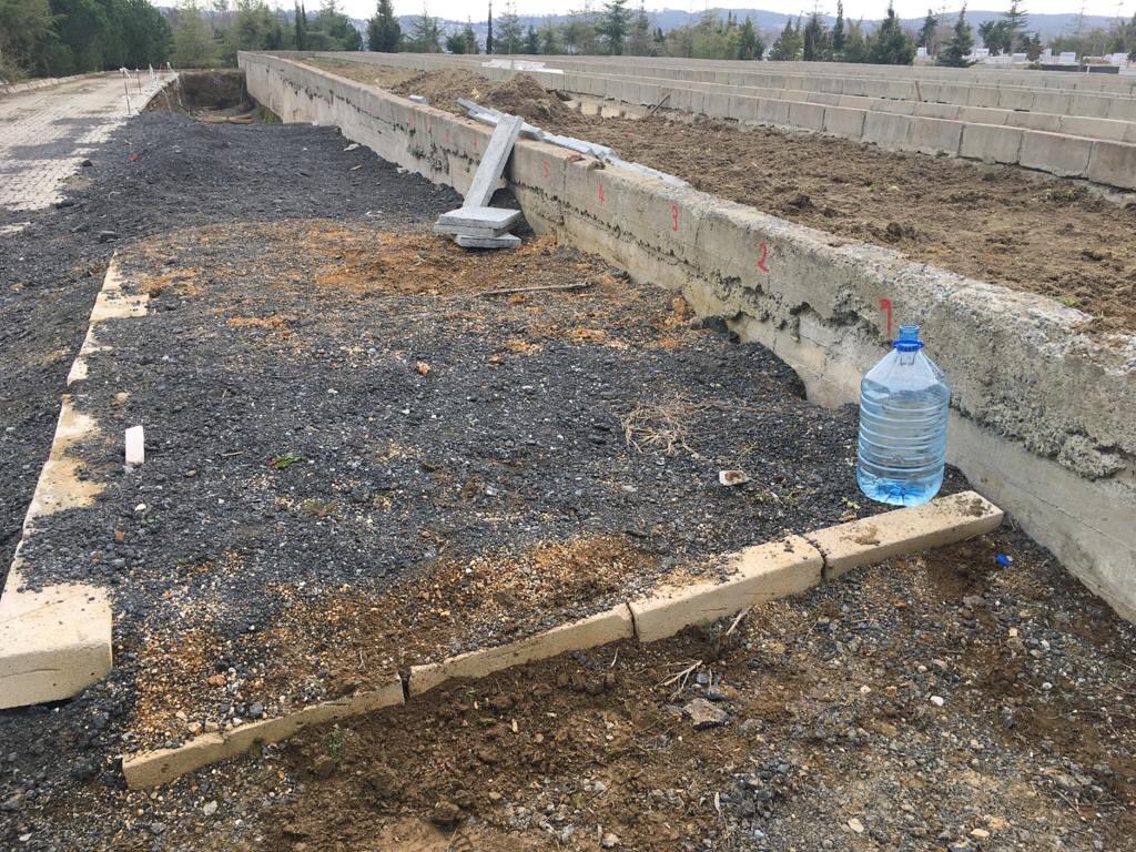 🔥 [40+] Bashur Wallpapers | WallpaperSafari