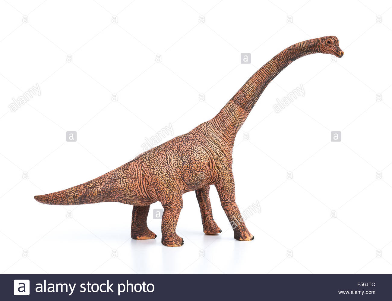 Free download Yodel Odel Obey Me Phineas and Ferb Wiki Fandom [1280x720 ...