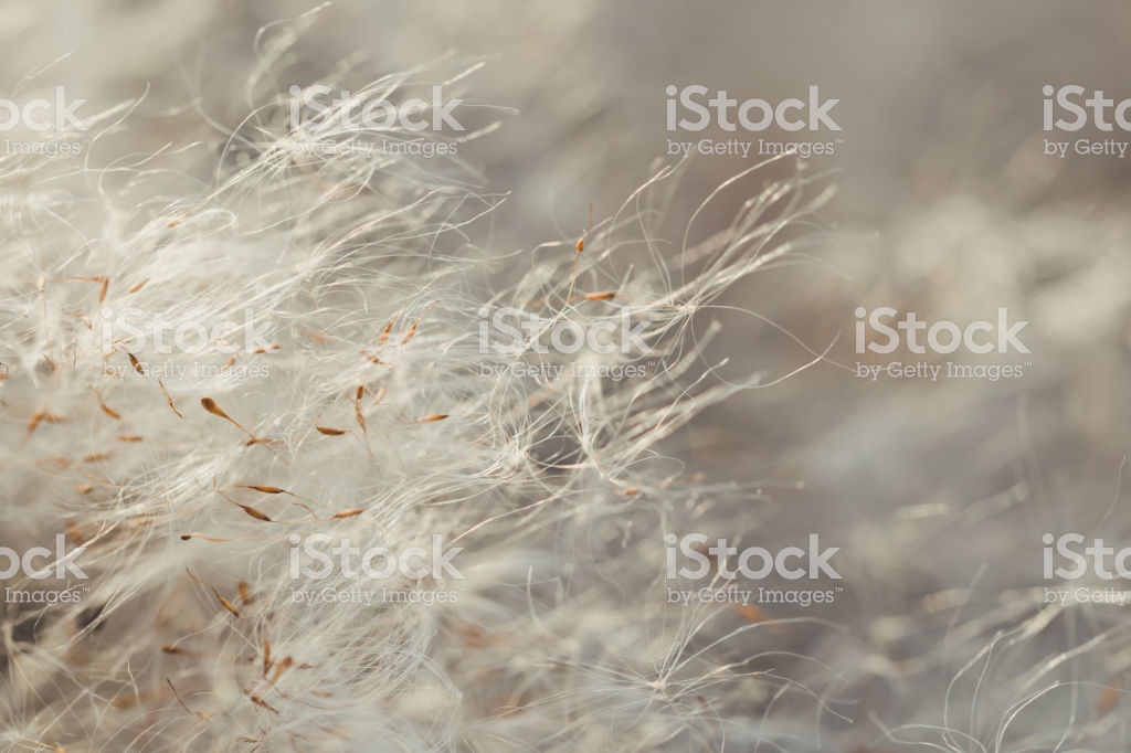 [46+] Fuzz Backgrounds | WallpaperSafari