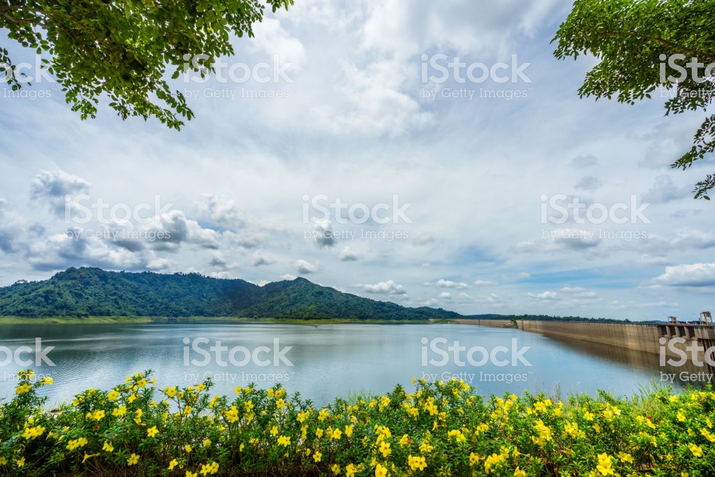 [52+] Chon Wallpapers | WallpaperSafari