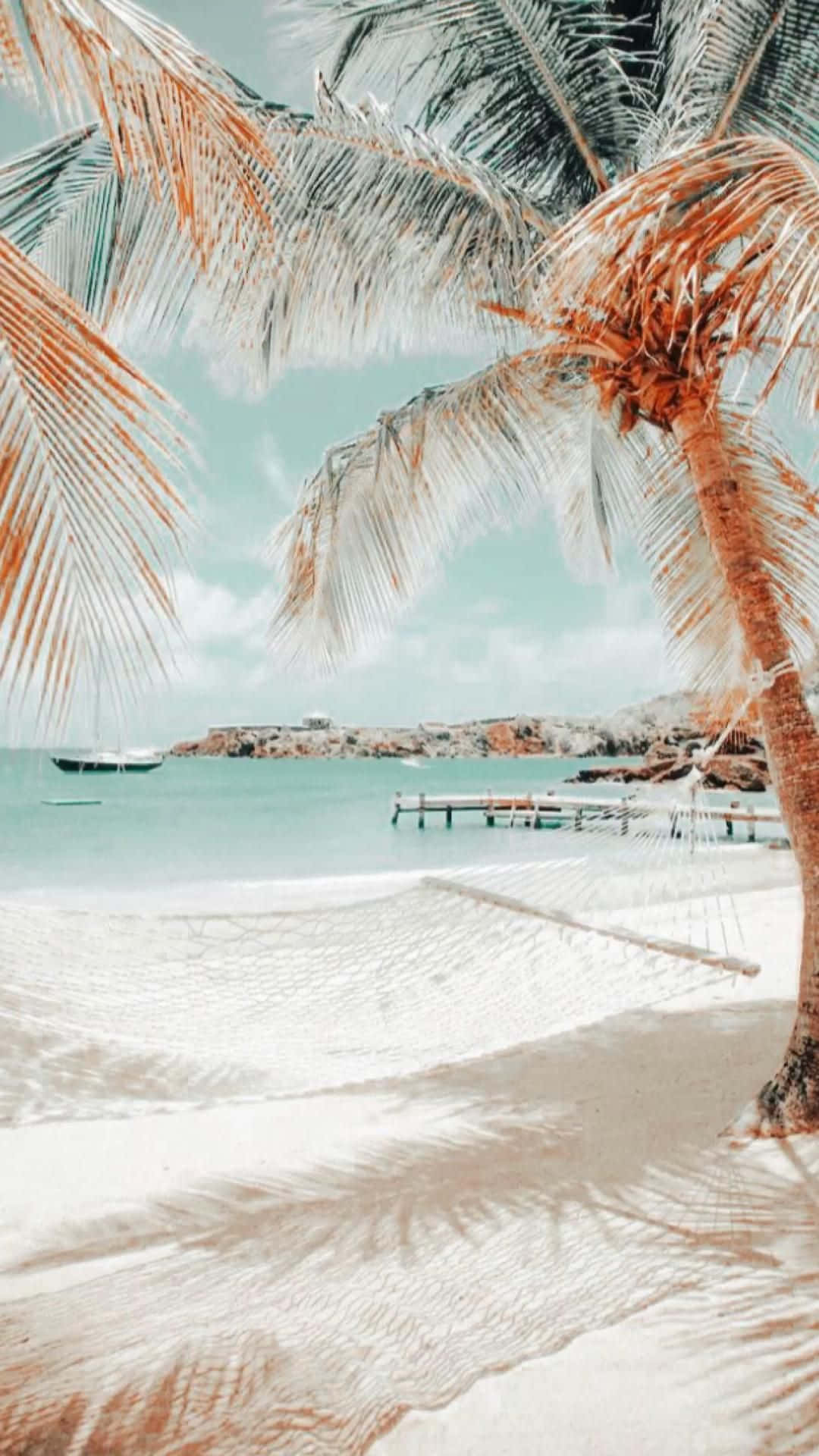 🔥 Free Download Preppy Beach Aesthetic Palm Shade Wallpaper by ...