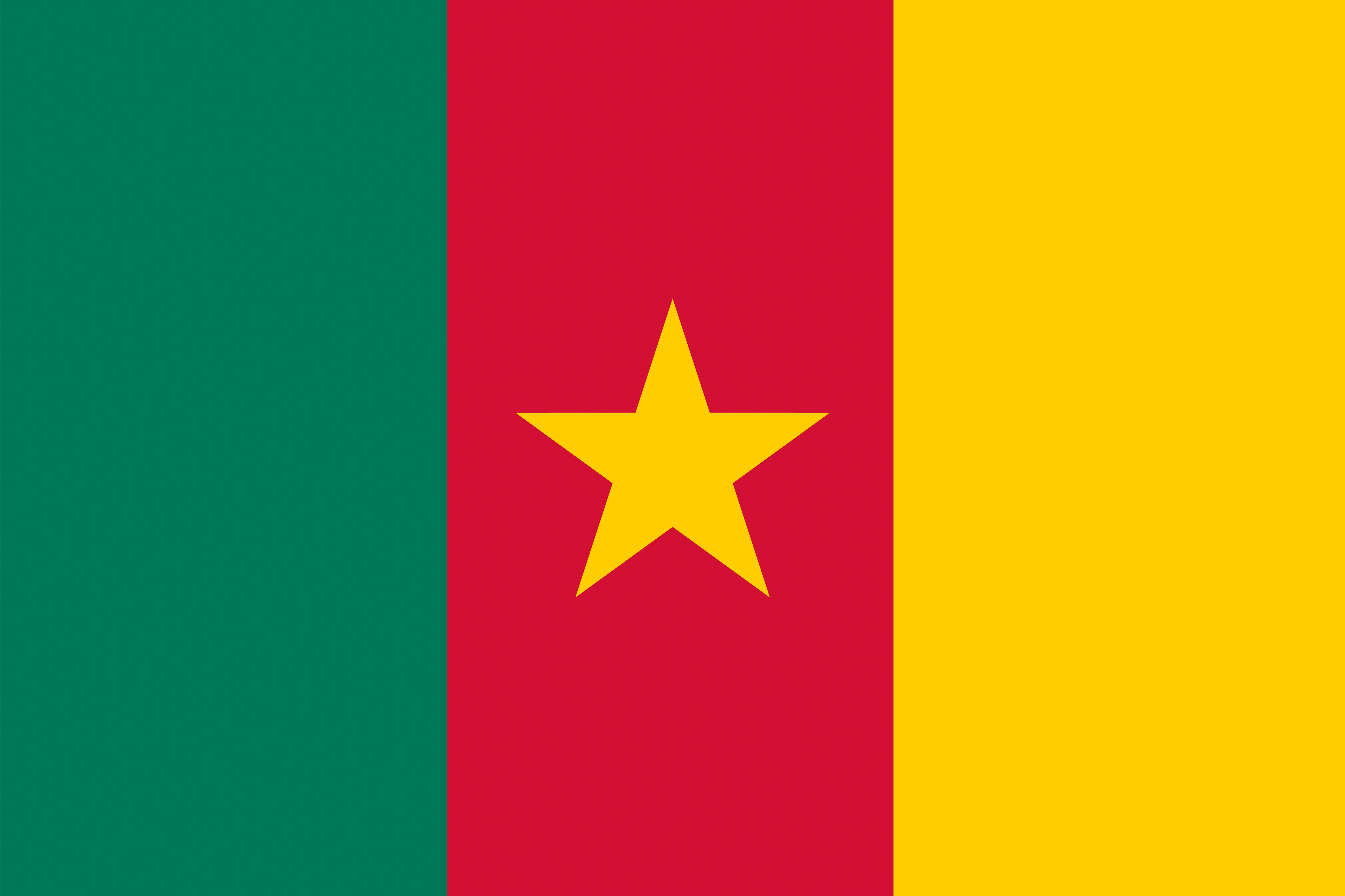  20 Cameroon Flag Wallpapers WallpaperSafari