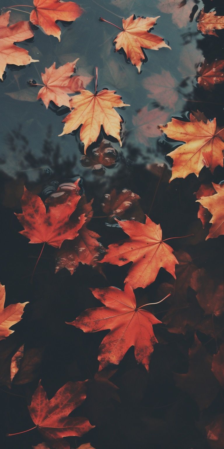 🔥 Free Download Stunning And Dreamy Fall Phone Wallpaper Artofit by ...