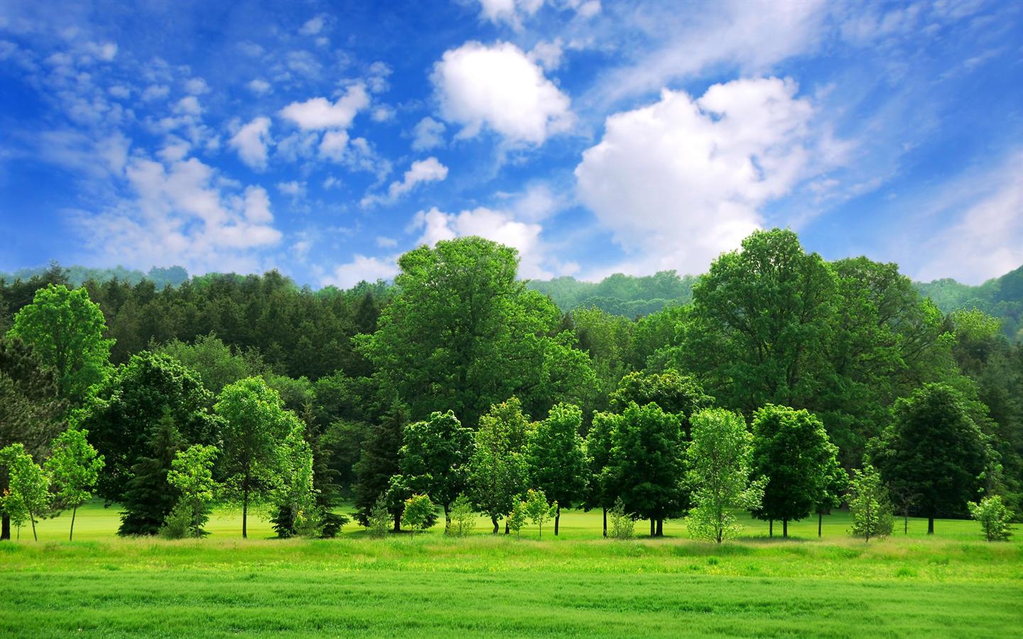  Free Download DESKTOP WALLPAPER BACKGROUNDS PC BACKGROUNDS STOCK
