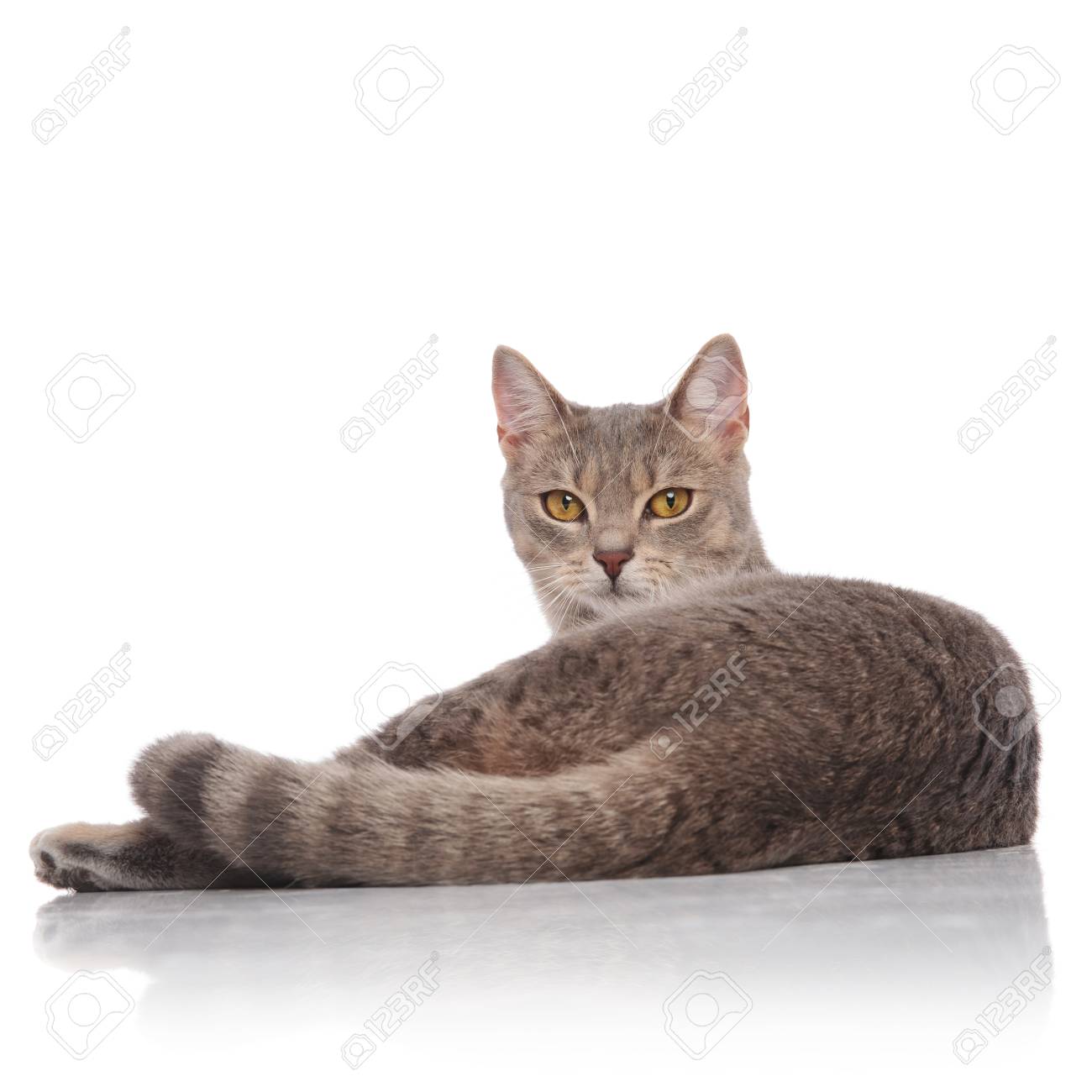 🔥 [26+] Metis Background | WallpaperSafari